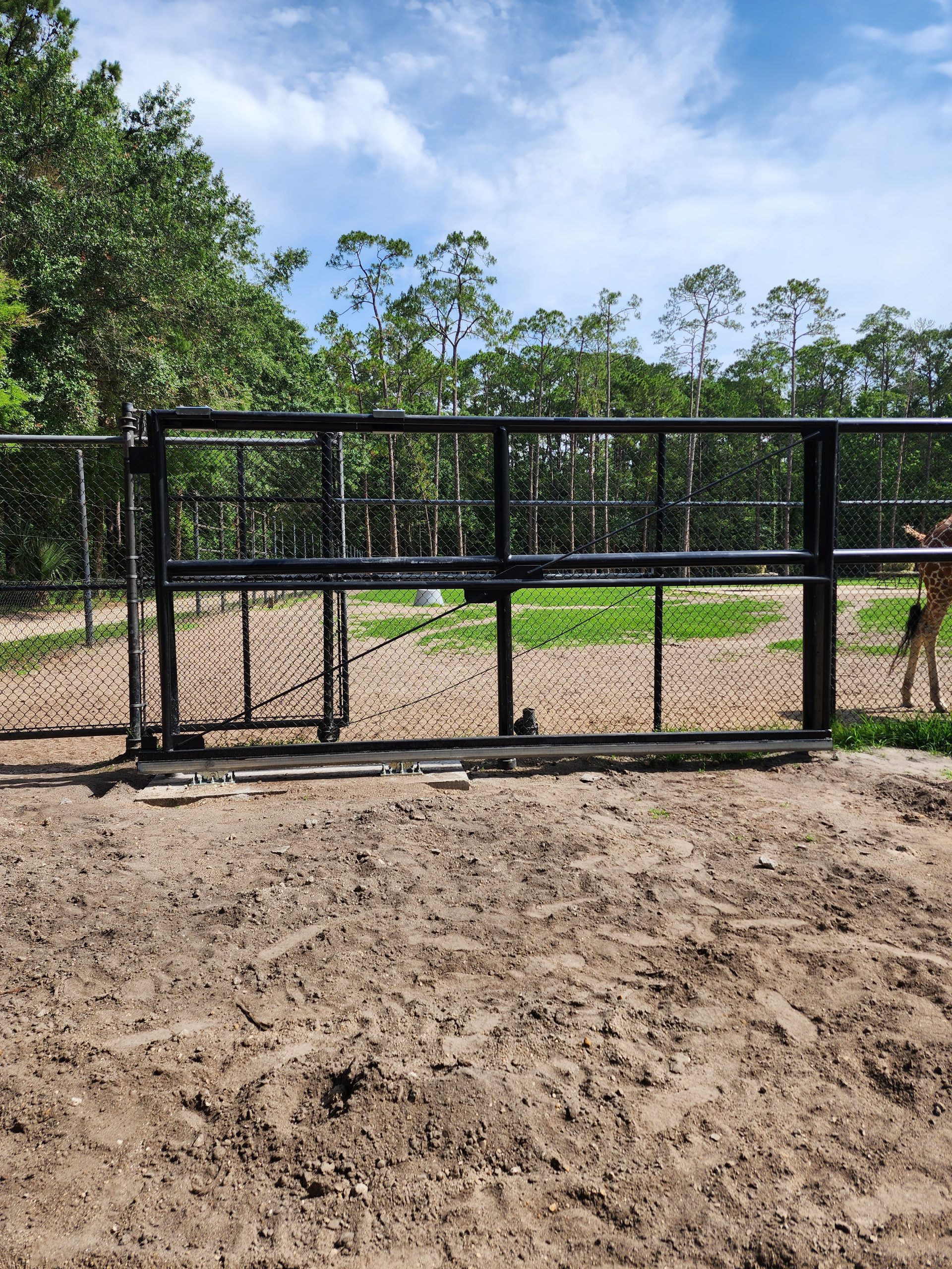 Giraffe Enclosure Gates - DuraGates : The one-stop solution for light ...